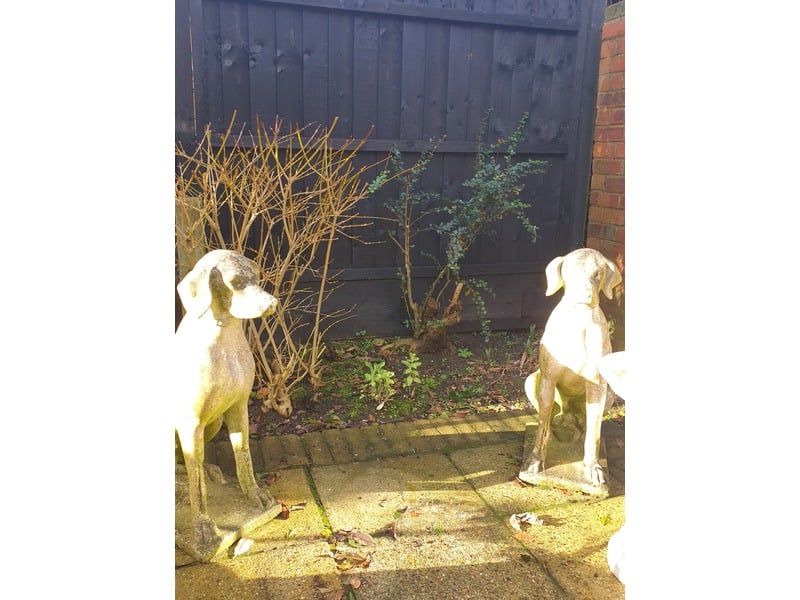 Antique stone hunting dogs - Newport Isle of Wight | Wightbay